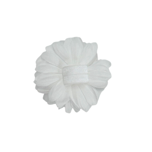 Homecoming Supplies - All Products